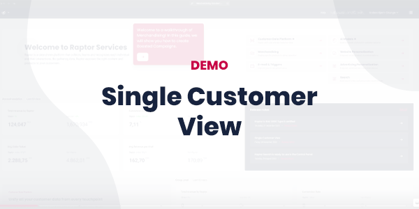 Customer Data Platform: Single Customer View - Raptor Services